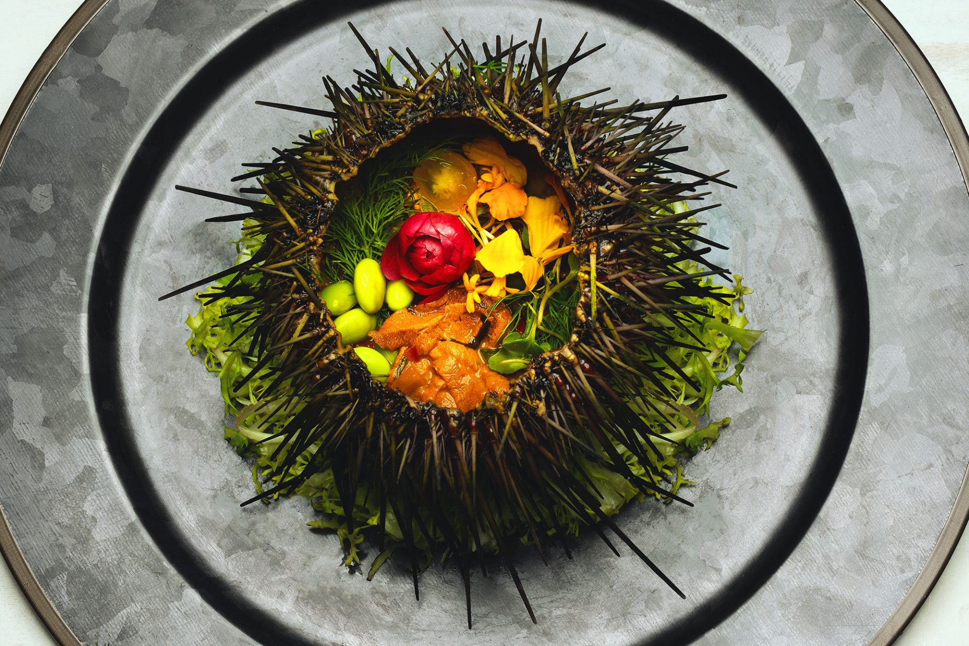 Roman Rivera Photography